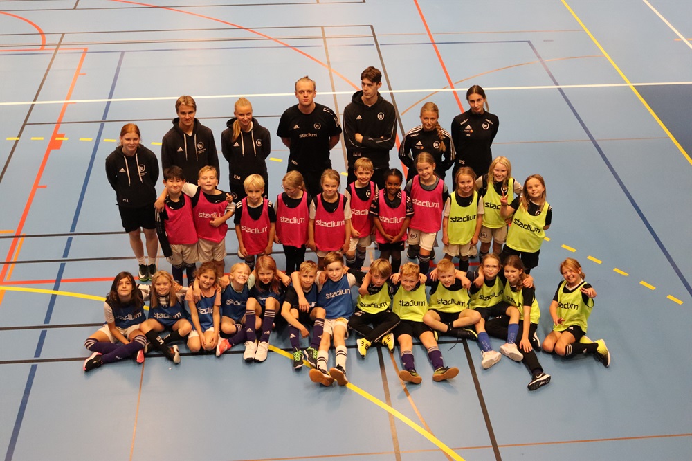 Välkommen till Lerums IS Knattefotboll F/P19 / Lerums IS - Knattefotboll F/P19