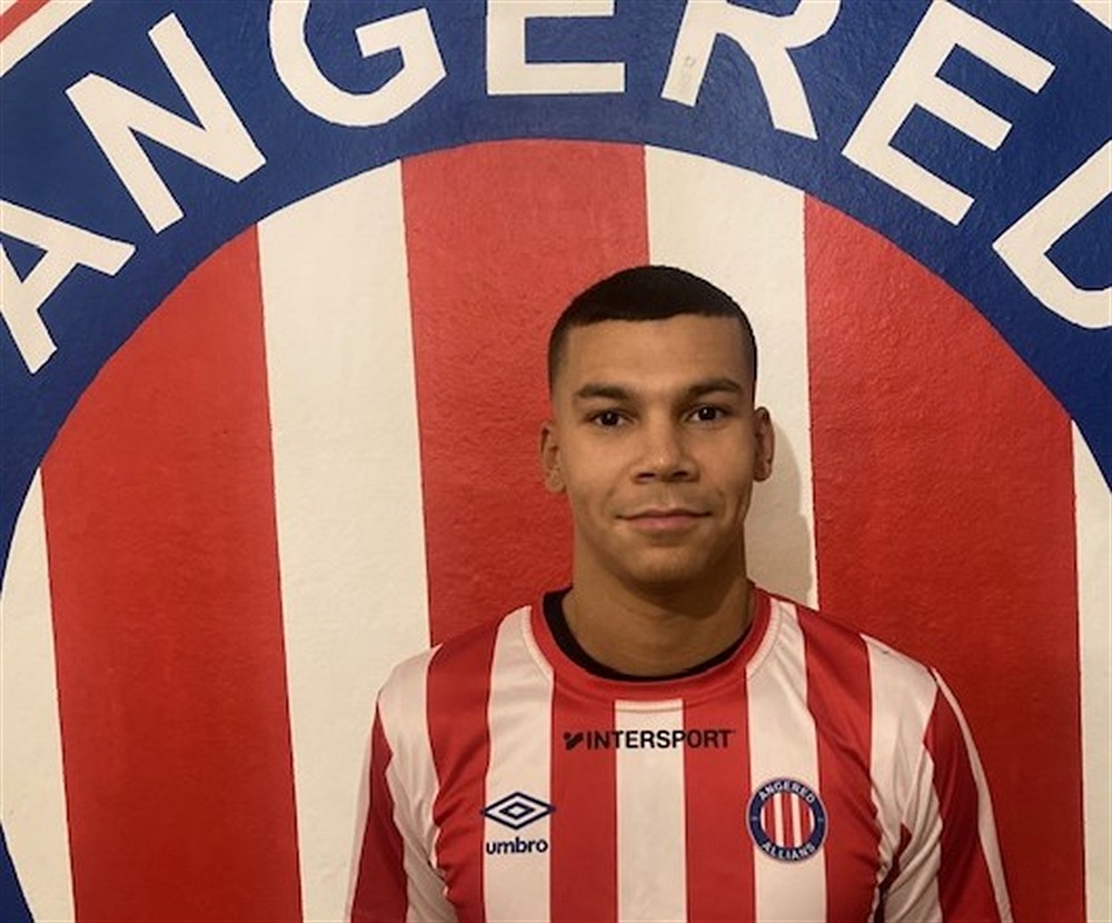 Angered Allians presenterar.. / Angered Allians - Herr