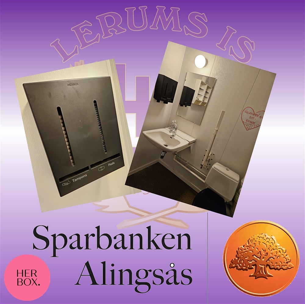 För lika förutsättningar - oavsett dag i månaden! / Lerums IS