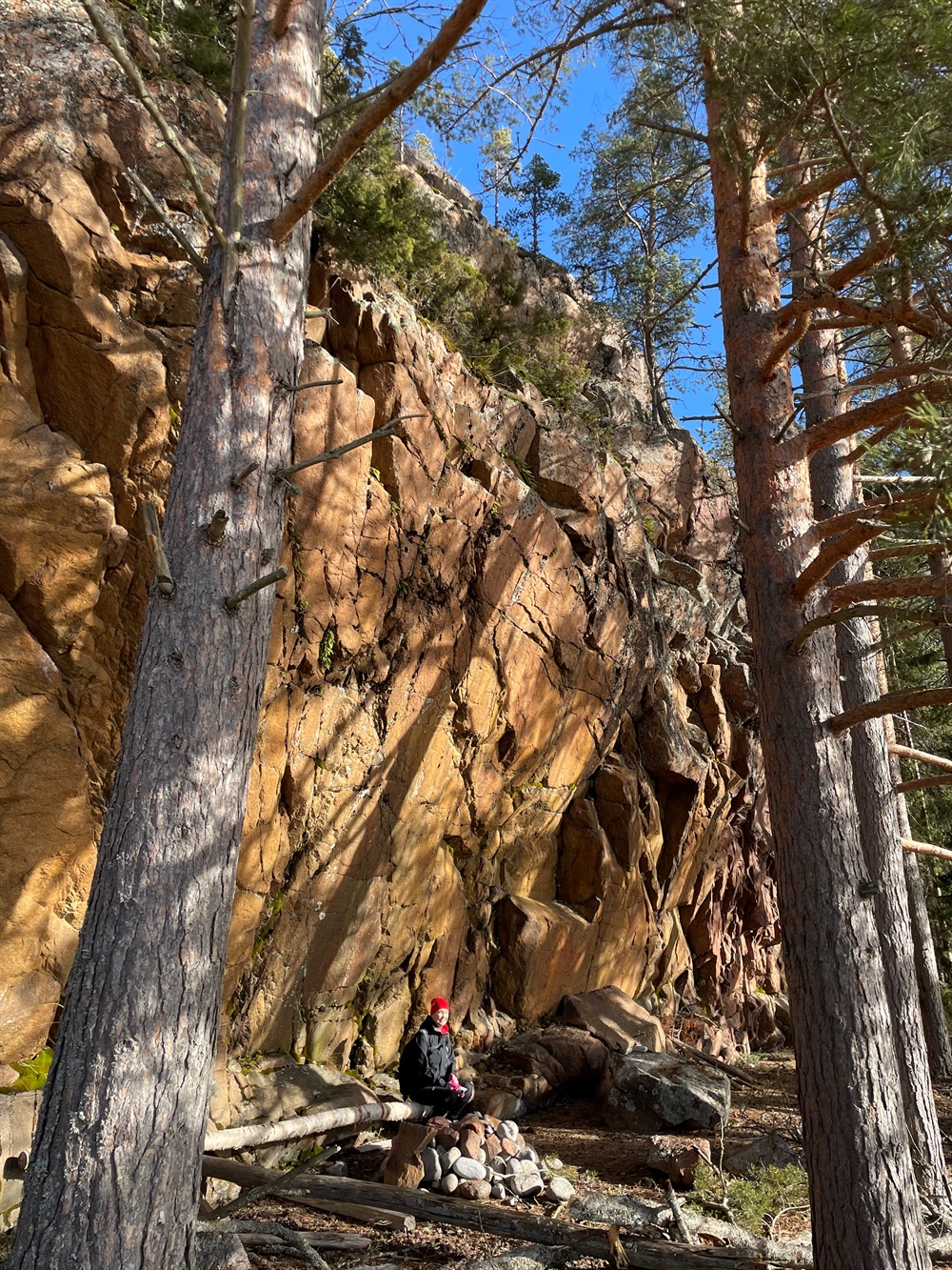 OK Nolaskogsarna - Motion