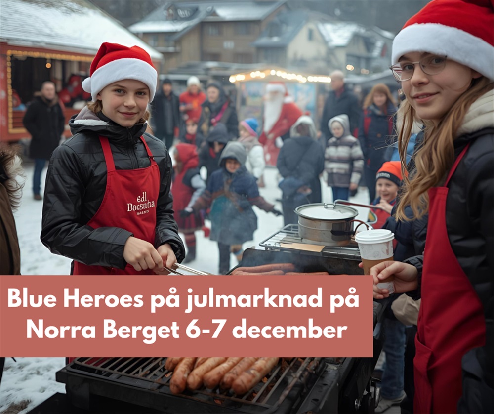 Julmarknad på Norra Berget - kan du bidra? / Sundsvall Blue Heroes BBK